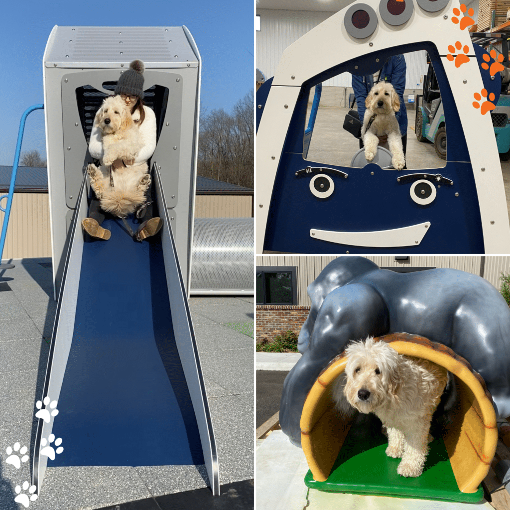 Recreation for Kids and Dogs